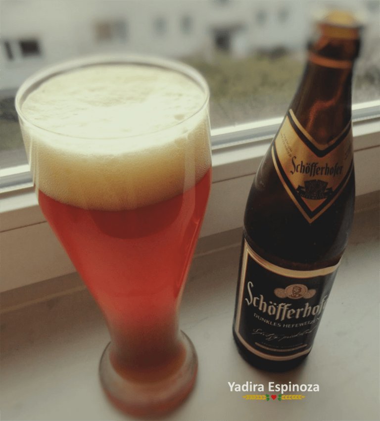 31 tipos de cerveza alemana que no todos conocen – Bierlinerin