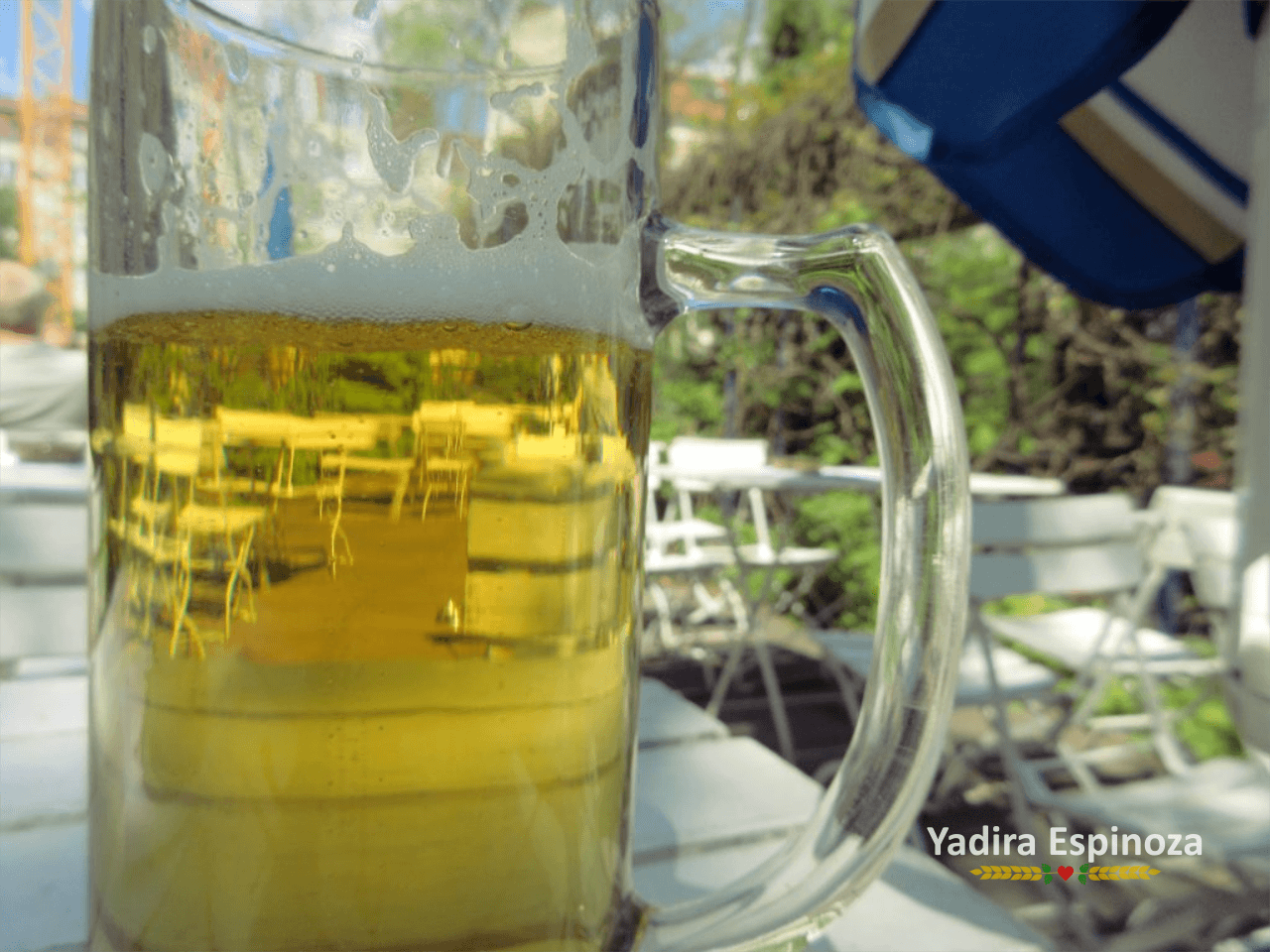 31 tipos de cerveza alemana que no todos conocen – Bierlinerin